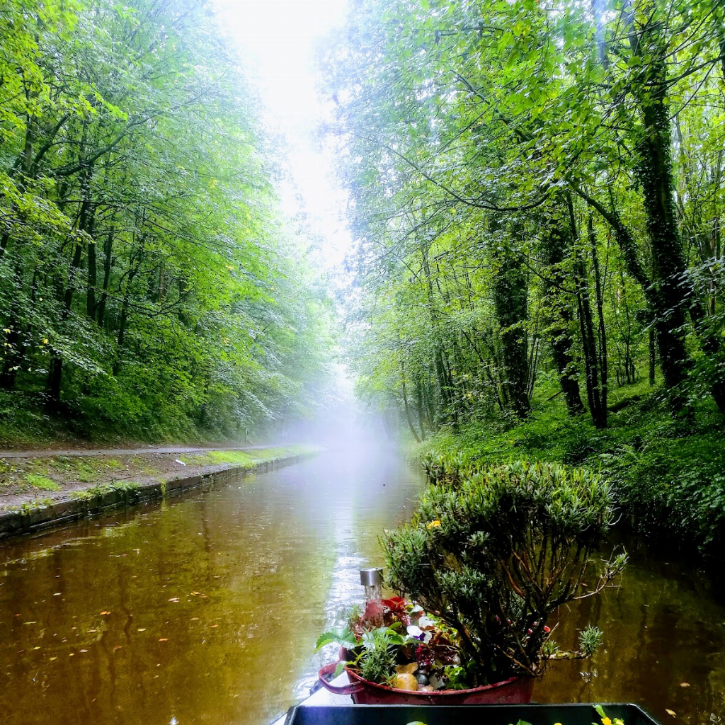 Chirk Marina