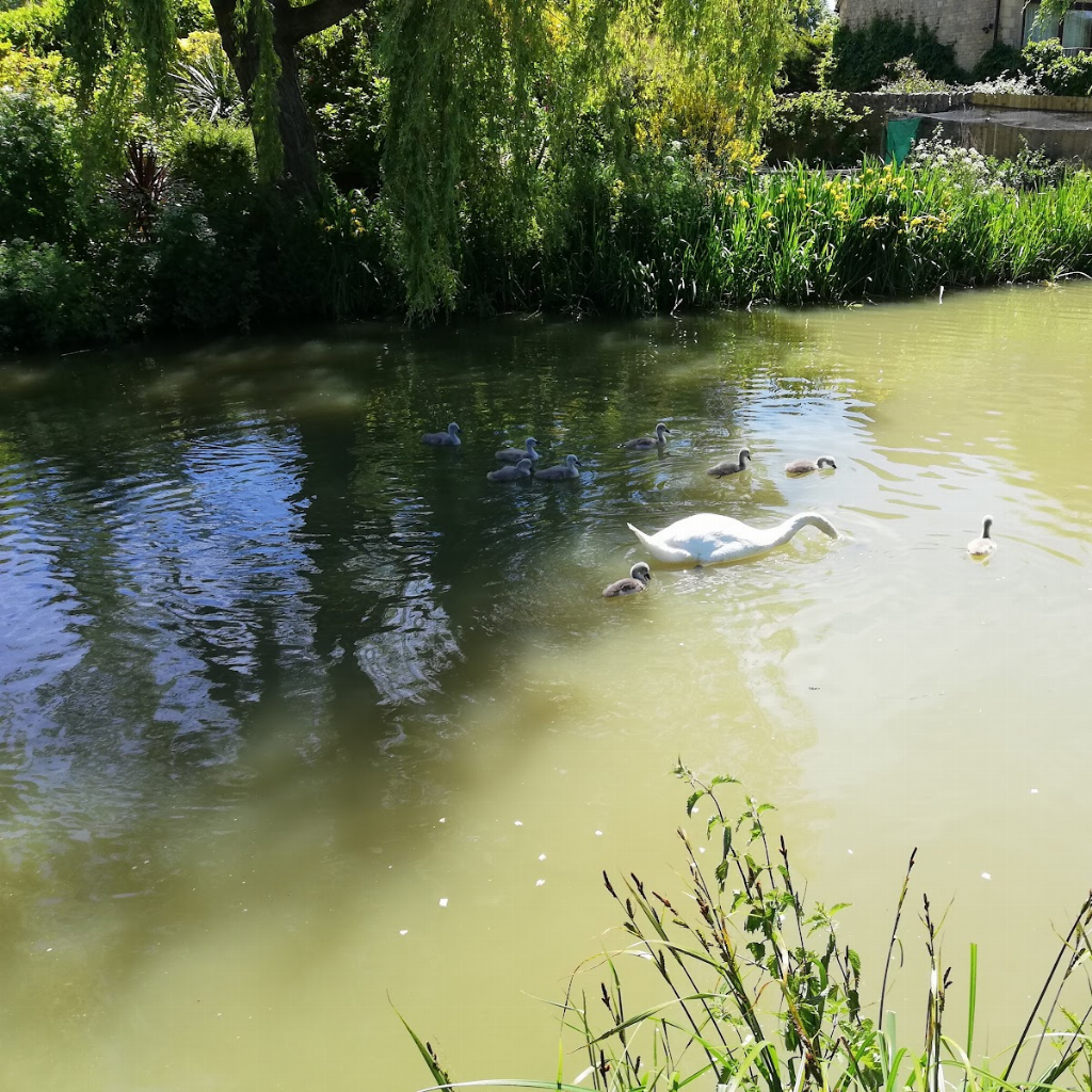 The Boatyard, Hilperton - Canal Pubs
