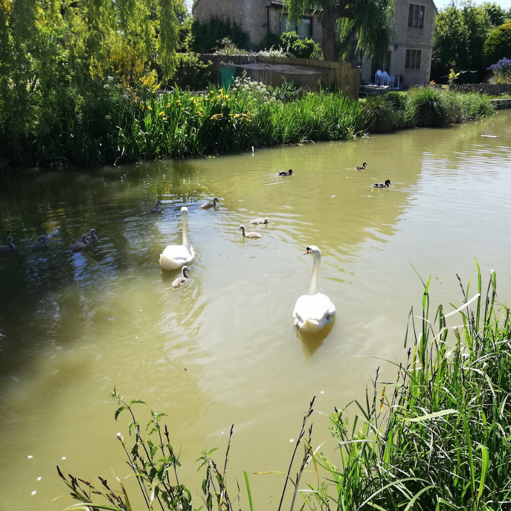The Boatyard, Hilperton - Canal Pubs