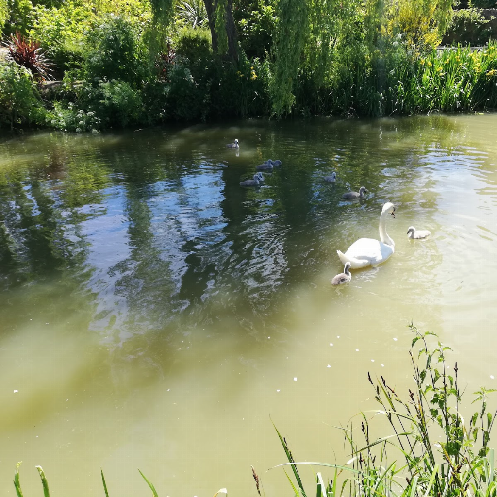 The Boatyard, Hilperton - Canal Pubs